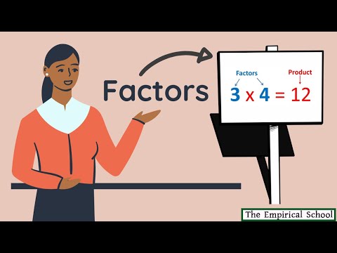 Factors I What are Factors?
