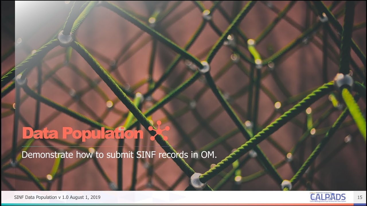 SINF Data Population - (Module B) - Data Population in Online Maintenance