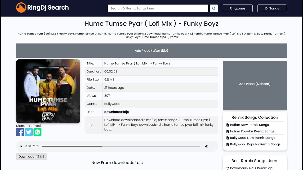 Ringtones And Dj Remix Songs Search Engine Php Script