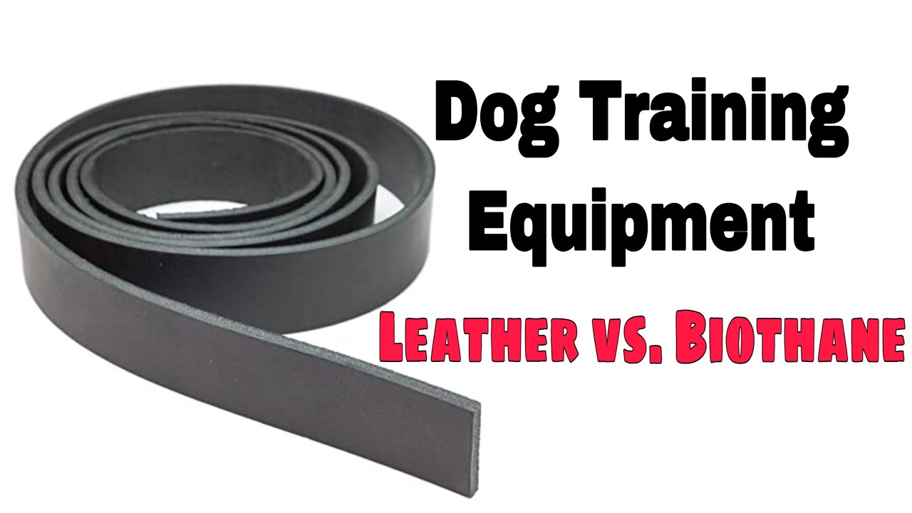 Leather vs. Biothane. Dog equipment.