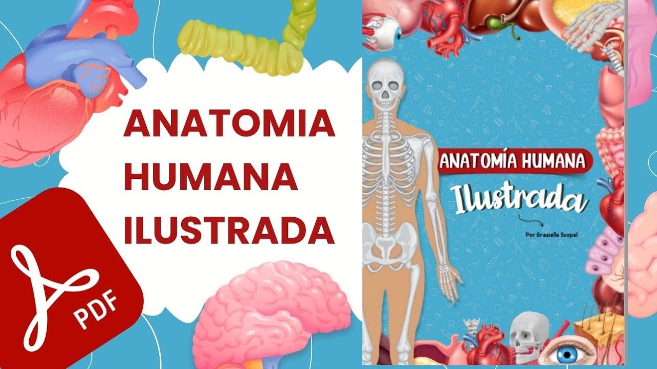 📕Atlas of Human Anatomy - Complete Book [PDF] Review - In Spanish 📖📕