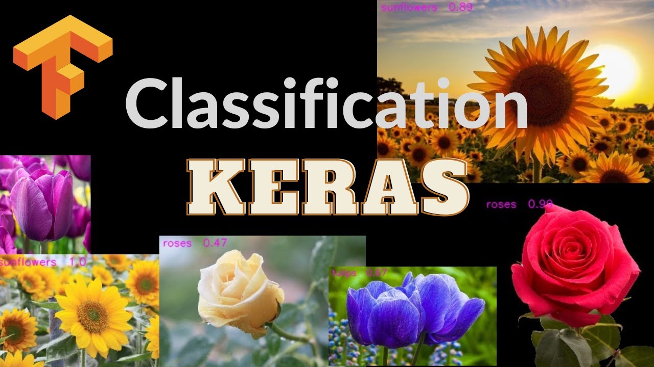 TensorFlow 2 Keras Image Classification