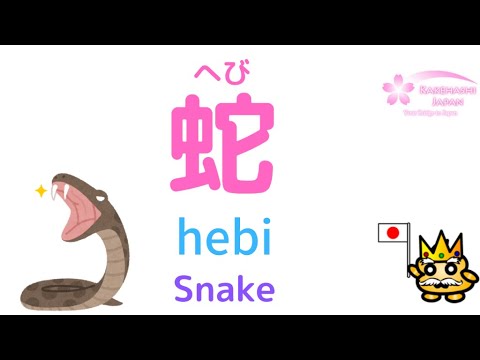 Learn Japanese vocabulary! Reptiles in Japanese! Snake, Chameleon, Lizard, Alligator! 蛇、ワニ、亀、トカゲ