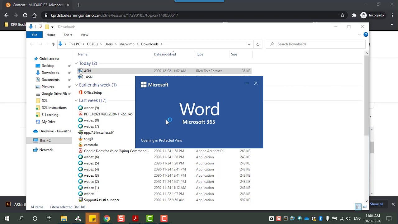 D2L - Open RTF in Word