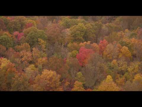 Triple V, LLC. Aerial Solutions; Full Res Joyride