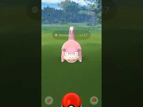 🤯 CP is super LOW but the IV is incredibly high #shorts #pokemongo