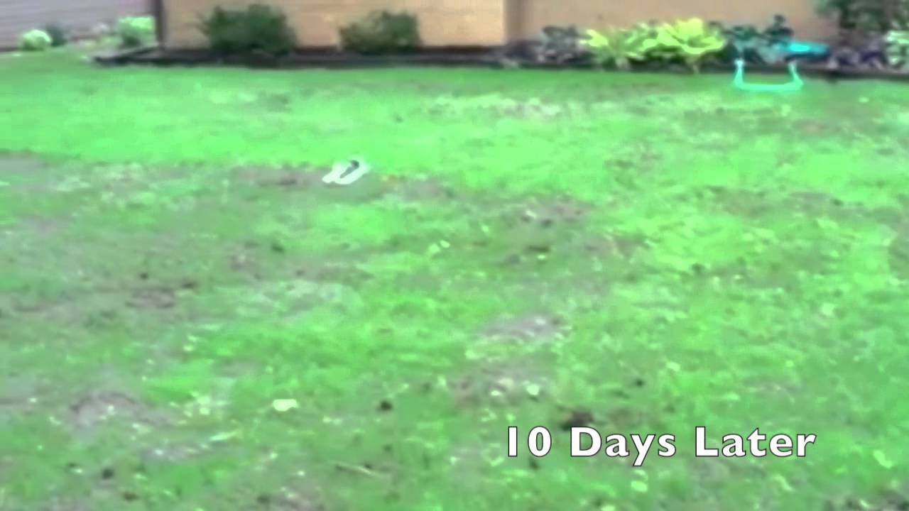 JBGreen Hydroseeding