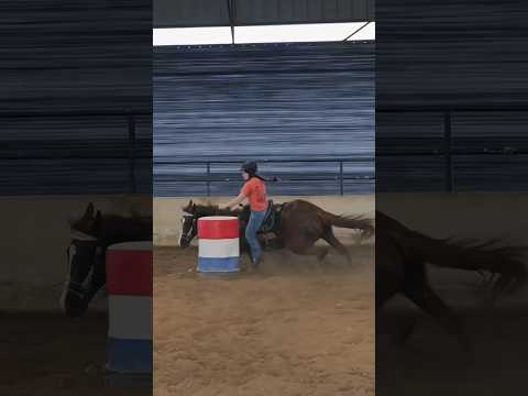 Practice Barrel Run! #barrelracing #horses #horseriding #barrelracer