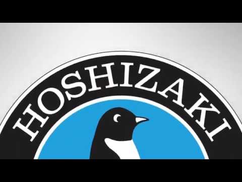 Types of Ice Cubes | Hoshizaki® Ice Guide