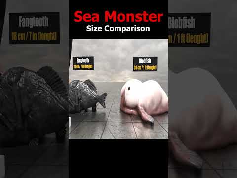 Legendary Sea Monsters Size Comparison (2025) – Biggest Mythical Creatures Ranked!