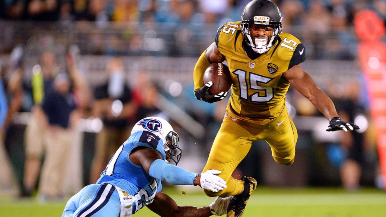 Allen Robinson Analytics Profile