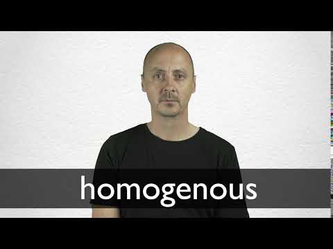 HOMOGENOUS Synonyms | Collins English Thesaurus