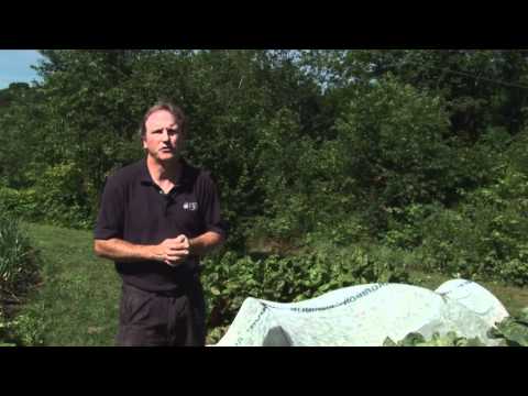 What is the Slow Food Movement?