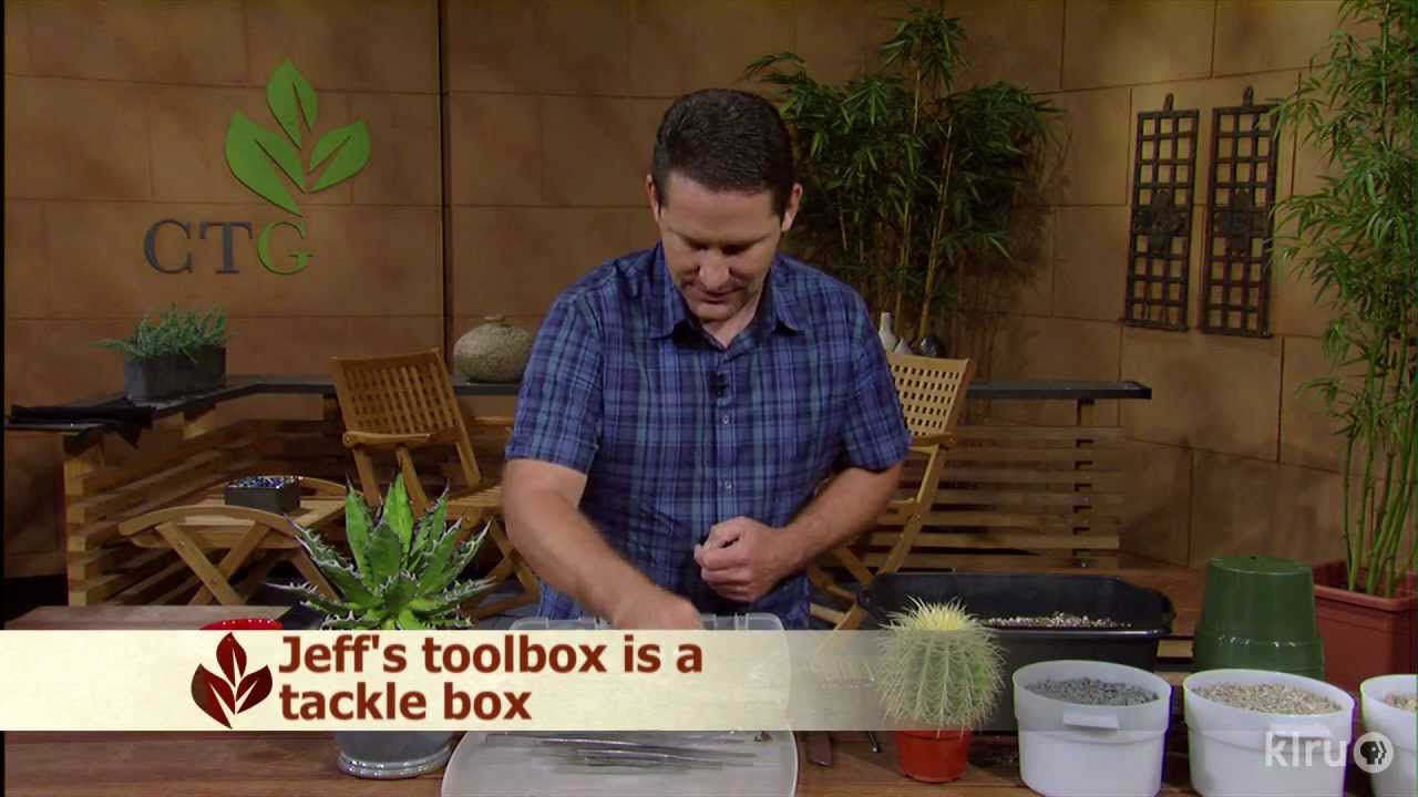 Succulent plant toolkit|Jeff Pavlat|Central Texas Gardener