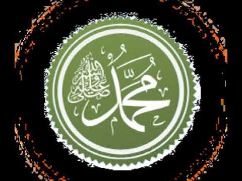 Sunnah | Wikipedia audio article