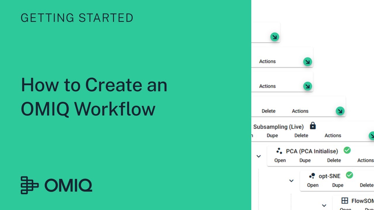 How to Create an OMIQ Workflow
