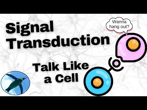 Basic Signal Transduction: Ligands and Receptors
