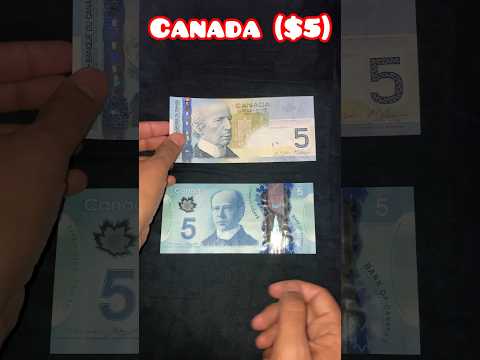 Canadian Dollar ($5) #shorts #youtubeshorts