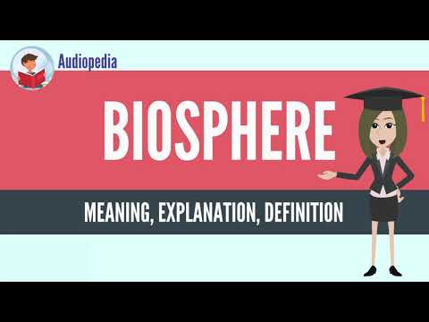 What Is BIOSPHERE? BIOSPHERE Definition & Meaning