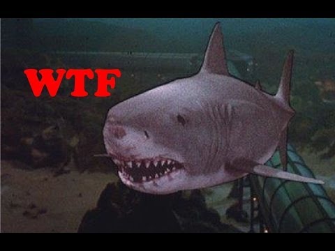 Jaws 3 - WTF Reviews