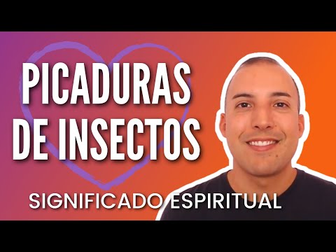Picaduras de insectos: Significado espiritual - por Manuel Requena