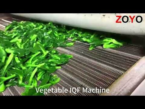 IQF Individual Quick Freezing Machine for Vegetables