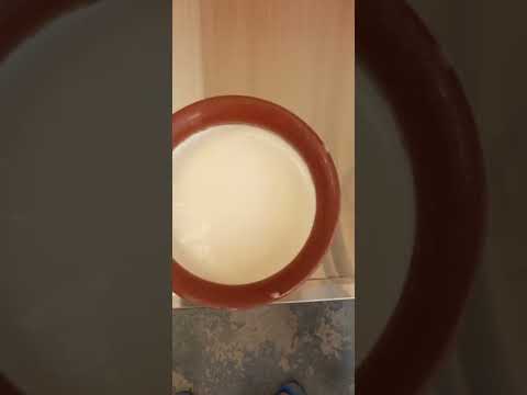 Curd Making Machines - Dahi Making Machines Latest Price, Manufacturers ...