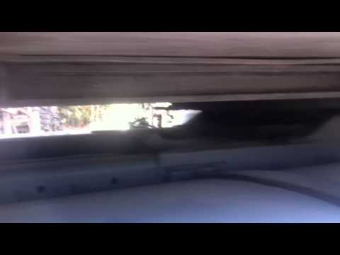 Viberty Trailer with Thermo king SMX II