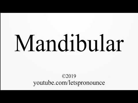 How to Pronounce Mandibular