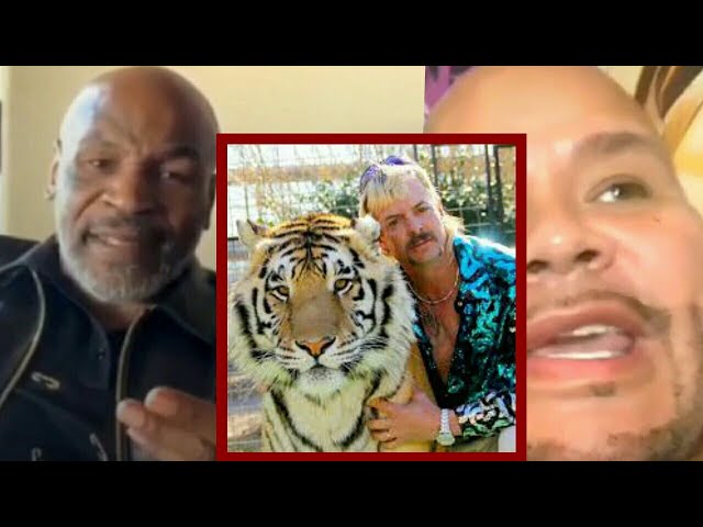 Watch: When Mike Tyson took his his pet tiger for a walk