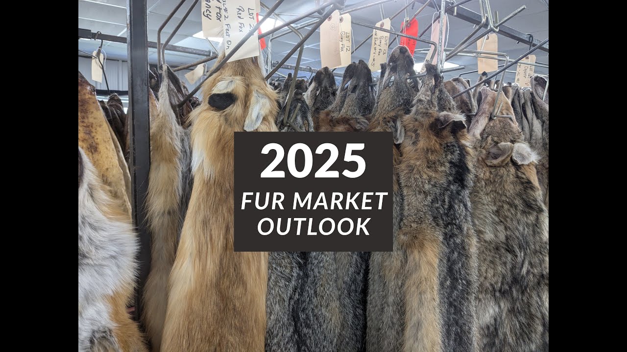 2025 - 2026 Fur prices (Fur Market Outlook)