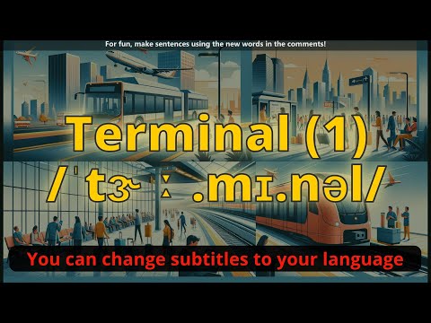 Terminal meaning (1) with 5 examples