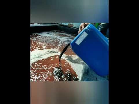 Menjernihkan Warna Air Limbah Industri Dengan Bakteri Lumpur Aktif Pengurai Warna - Solusi Terbaru!