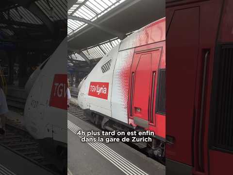 Aller en Suisse en TGV Lyria #lyria #sncf #cff #voyage #suisse #trains #tgv