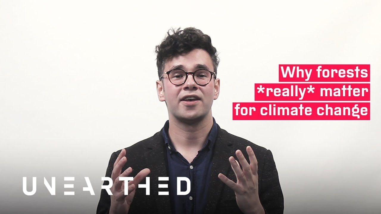 Why forests *really* matter for climate change