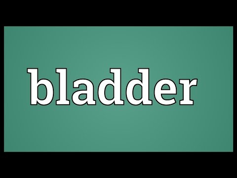 Bladder Meaning