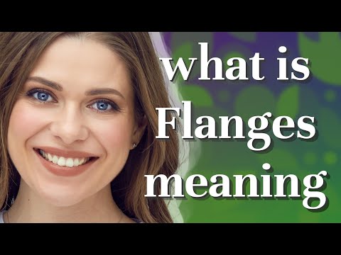 Flanges | meaning of Flanges