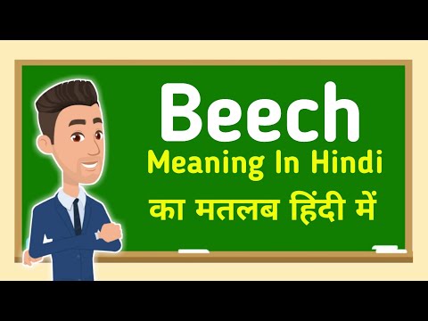 Beech meaning in hindi || Beech का मतलब हिंदी में