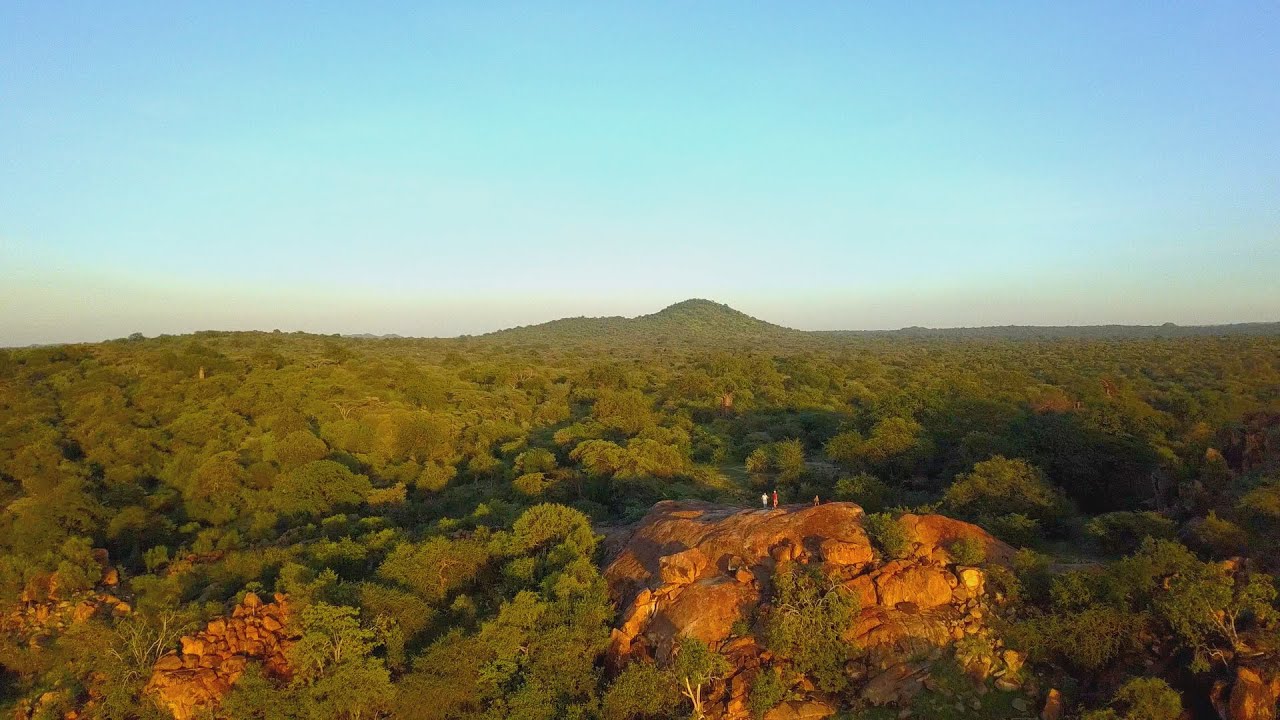 Destination Net Zero: Catalyzing Climate Action Through Travel