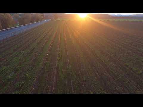 Medlock Ames Tasting Room intro - Dec. 2017