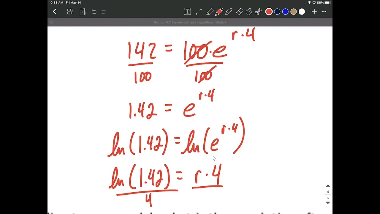 Exponential Growth Model | Rabbit Population