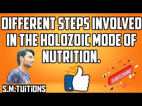Different steps involved in the Holozoic mode of nutrition. | 6.Life Processes | Class 10th |