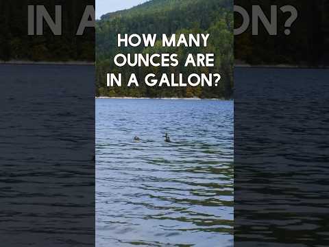 How many ounces in a gallon? #ouncesinagallon