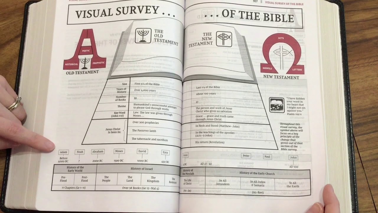 NIV Open Bible