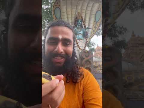 Meanings of Naga & Sarpa - Unplanned Pit Stop at an Unknown Temple! #nagapratishtha