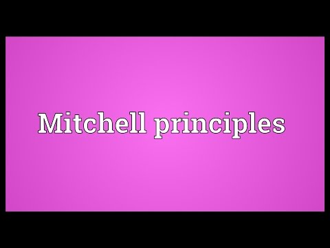 Mitchell principles Meaning