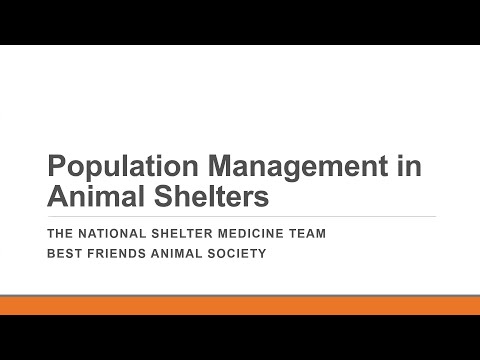 Population Management in Animal Shelters