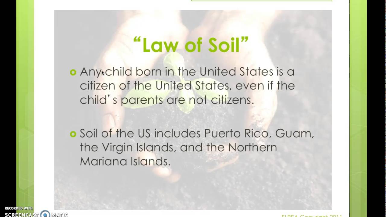 What is a Citizen PowerPoint