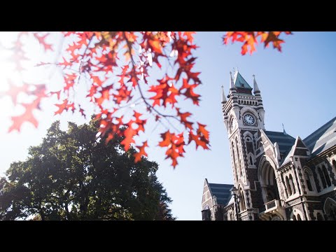 Study in Dunedin, NZ