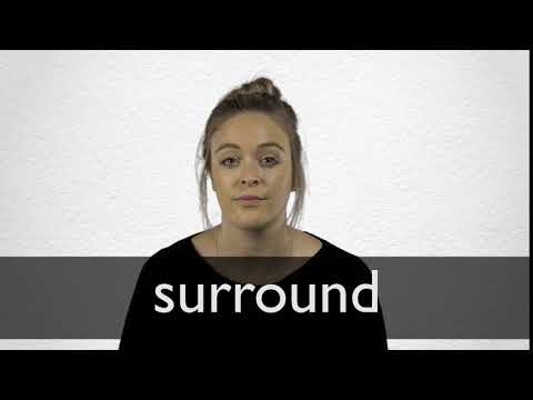Synonyms of SURROUND | Collins American English Thesaurus